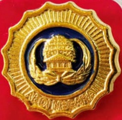 PIN DAN LAMBANG KORPRI TERBARU 2016 | VISIUNIVERSAL