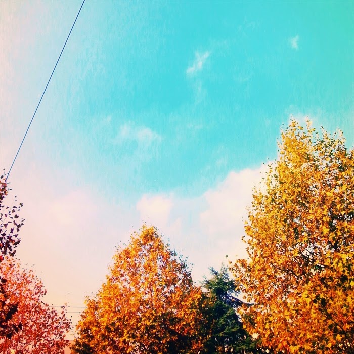 Stylebunny: Il mio Ottobre via Instagram/My October via instagram