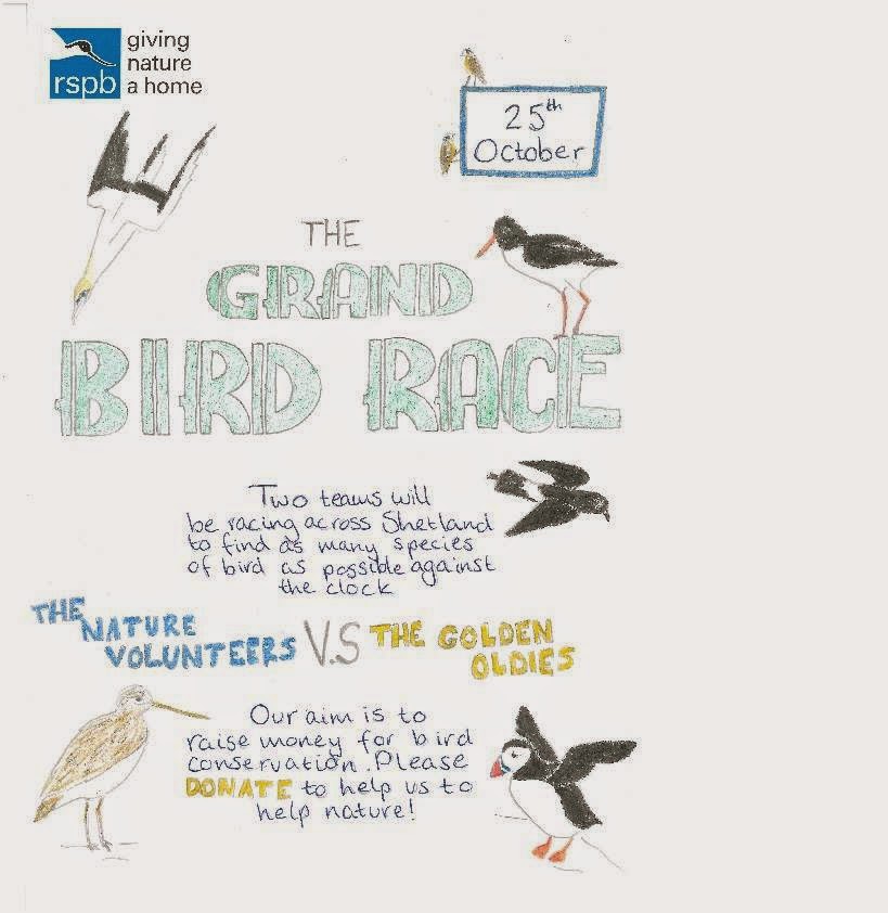 Logan's Nature Blog: The Grand Bird Race