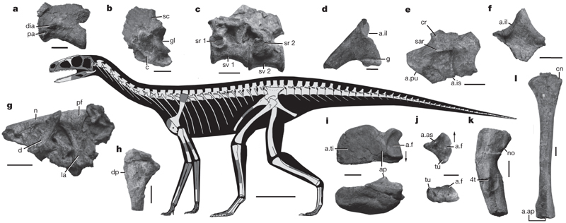 Waxing Paleontological: Hopeful Dinosaurs - Updated!