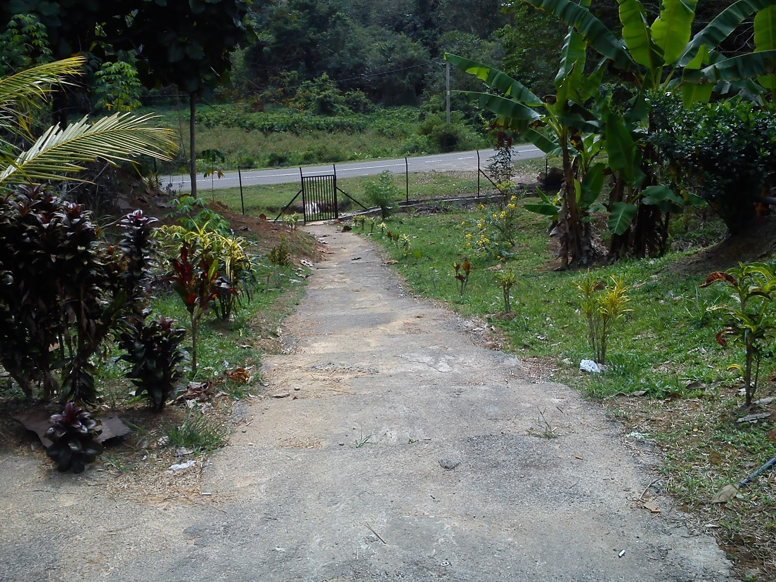 TAMAN-TAMAN MINI ~ PROGRAM SEKOLAH RAKAN ALAM SEKITAR (SERASI)