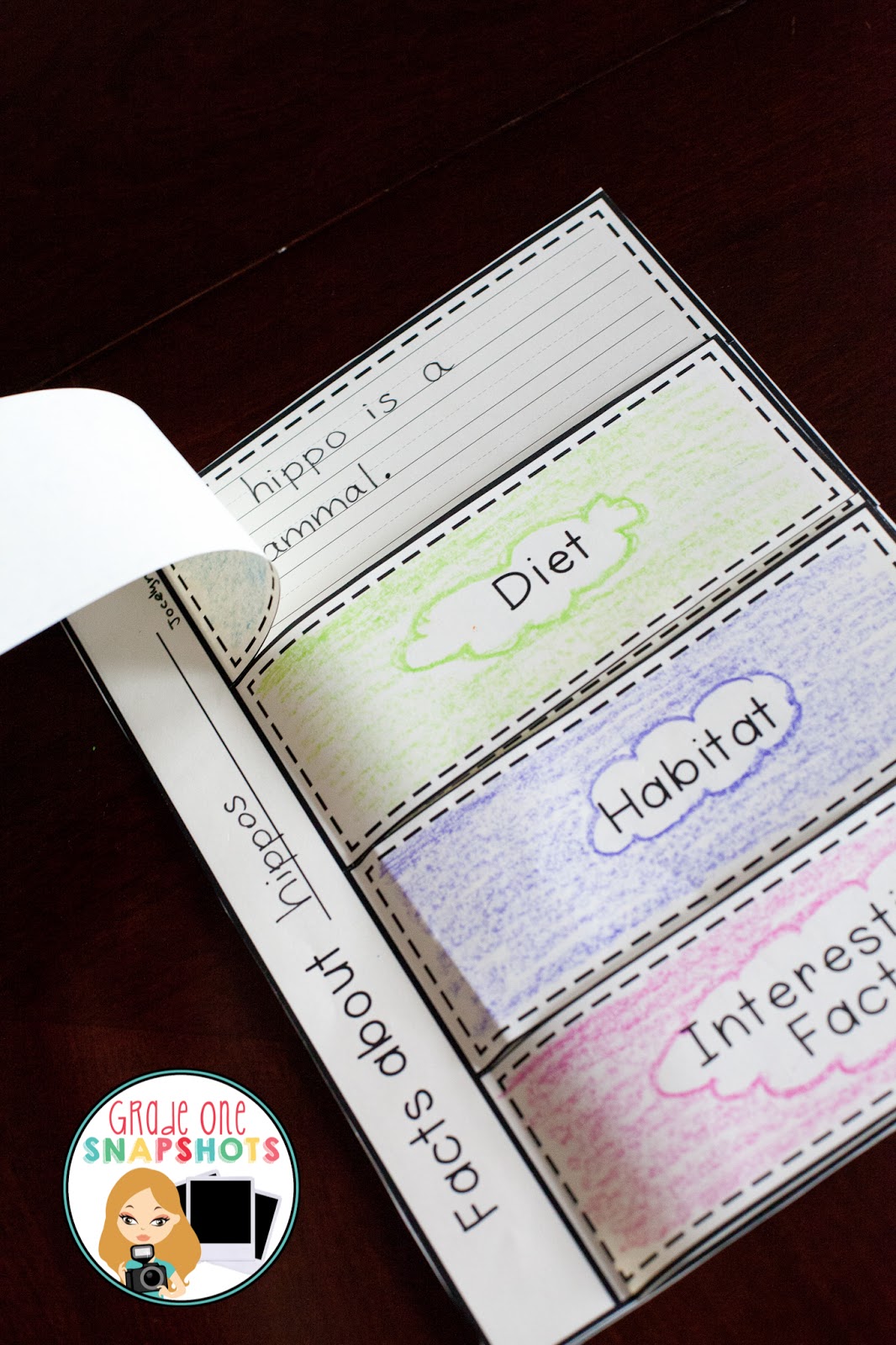 Grade One Snapshots: Animal Research for Primary Students