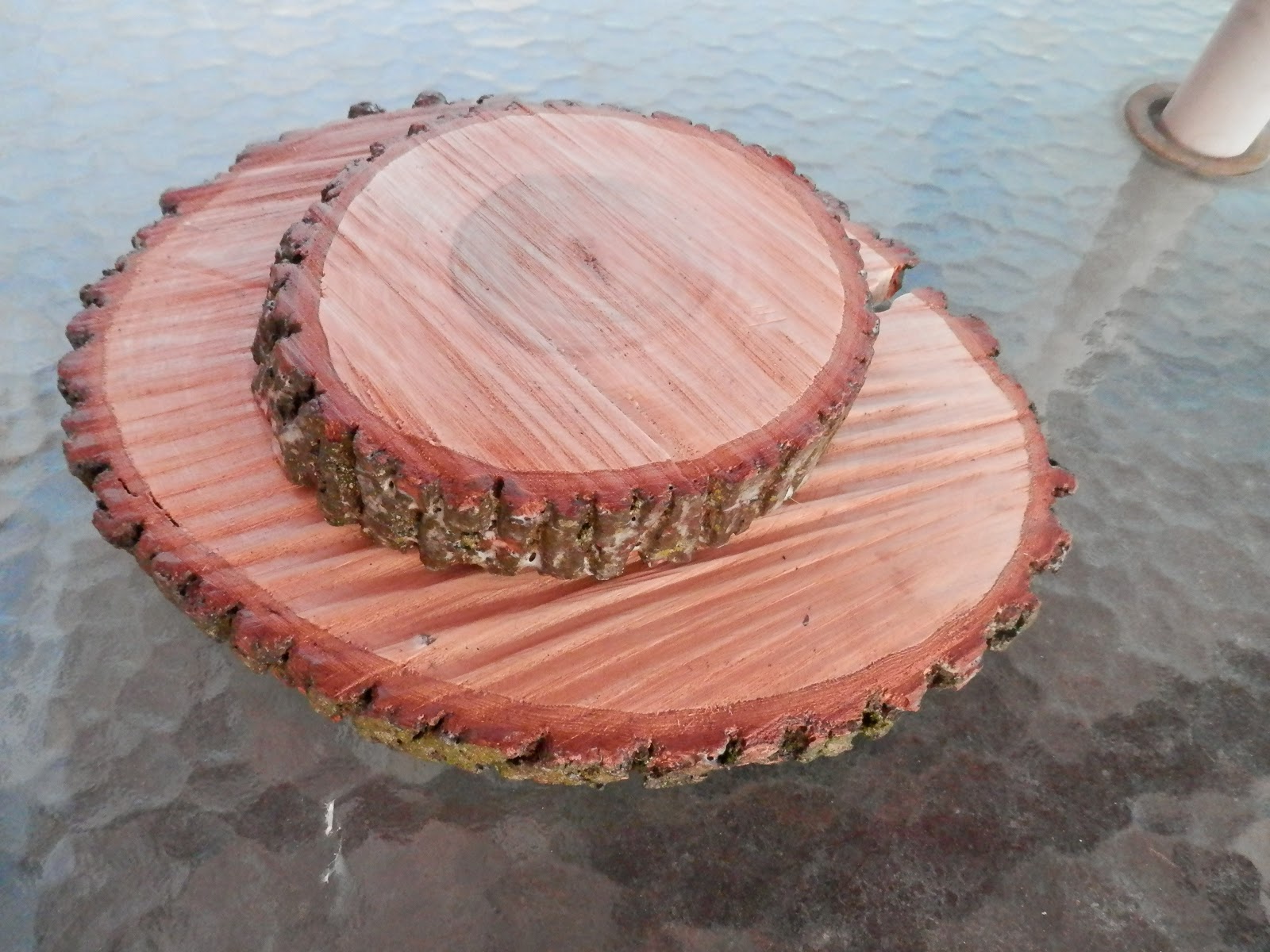 The Bare Mother Earth: DIY Tree Coasters