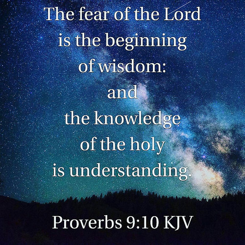 Wisdom and Understanding {Psalms 4:1-5:23} - Women in the Word