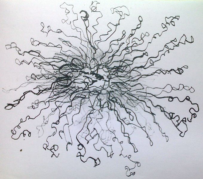 Nukleoidas ~ Mikrobiologija - kas tai?