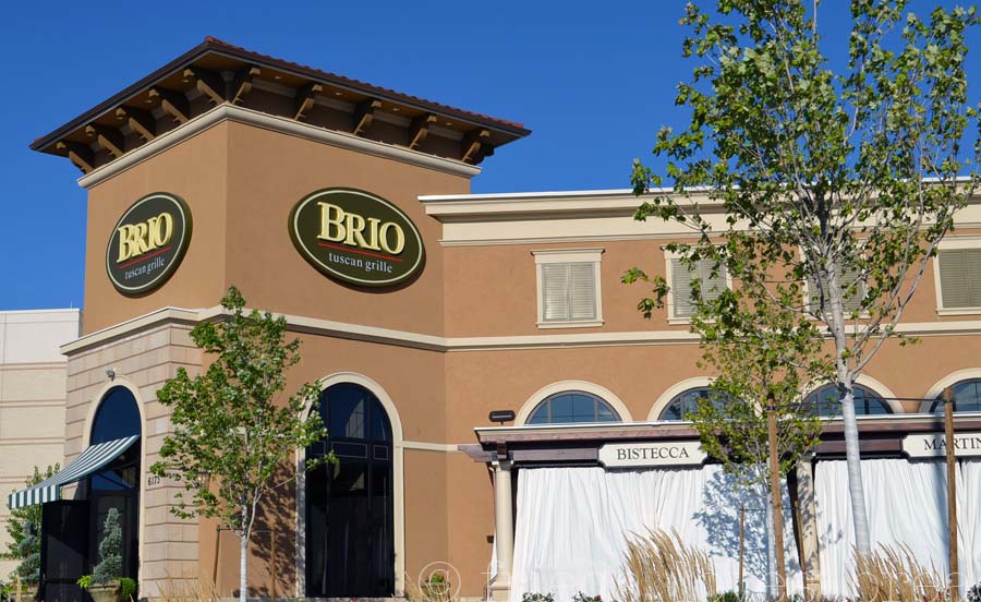 Frieda Loves Bread: Brio Tuscan Grille Restaurant & National Lasagne Day!