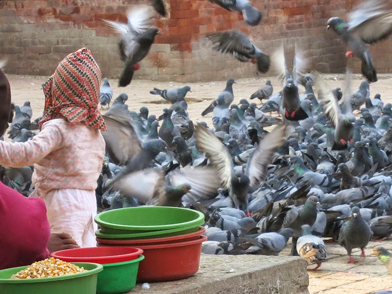 lost mountain wave: Himalaya Training