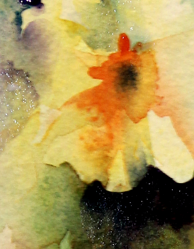 Watercolours With Life: More Primroses in Watercolour 2012