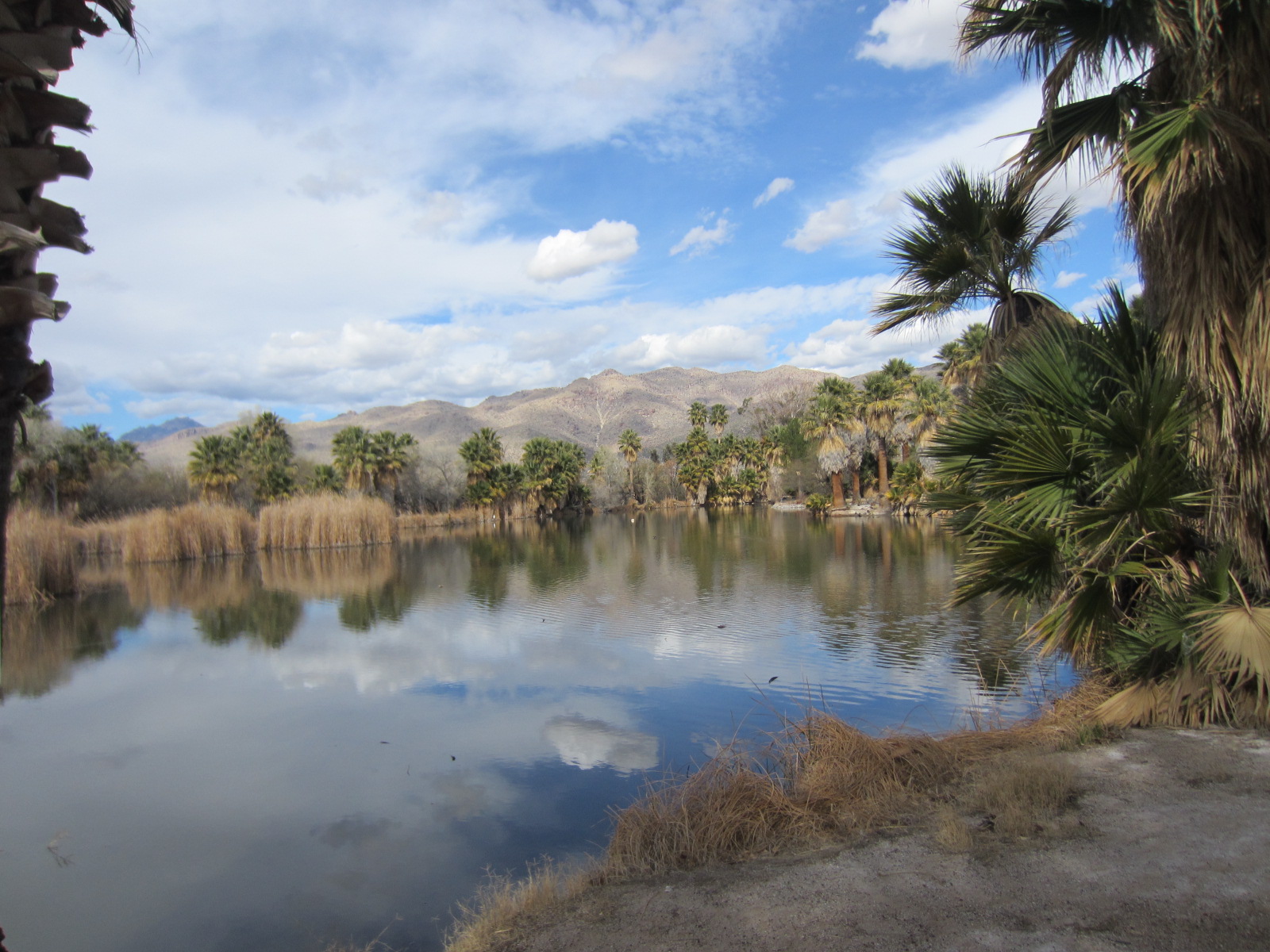A NOVICE HIKER - TRAILS AND TRIALS: Tanque Verde Falls and Aqua ...