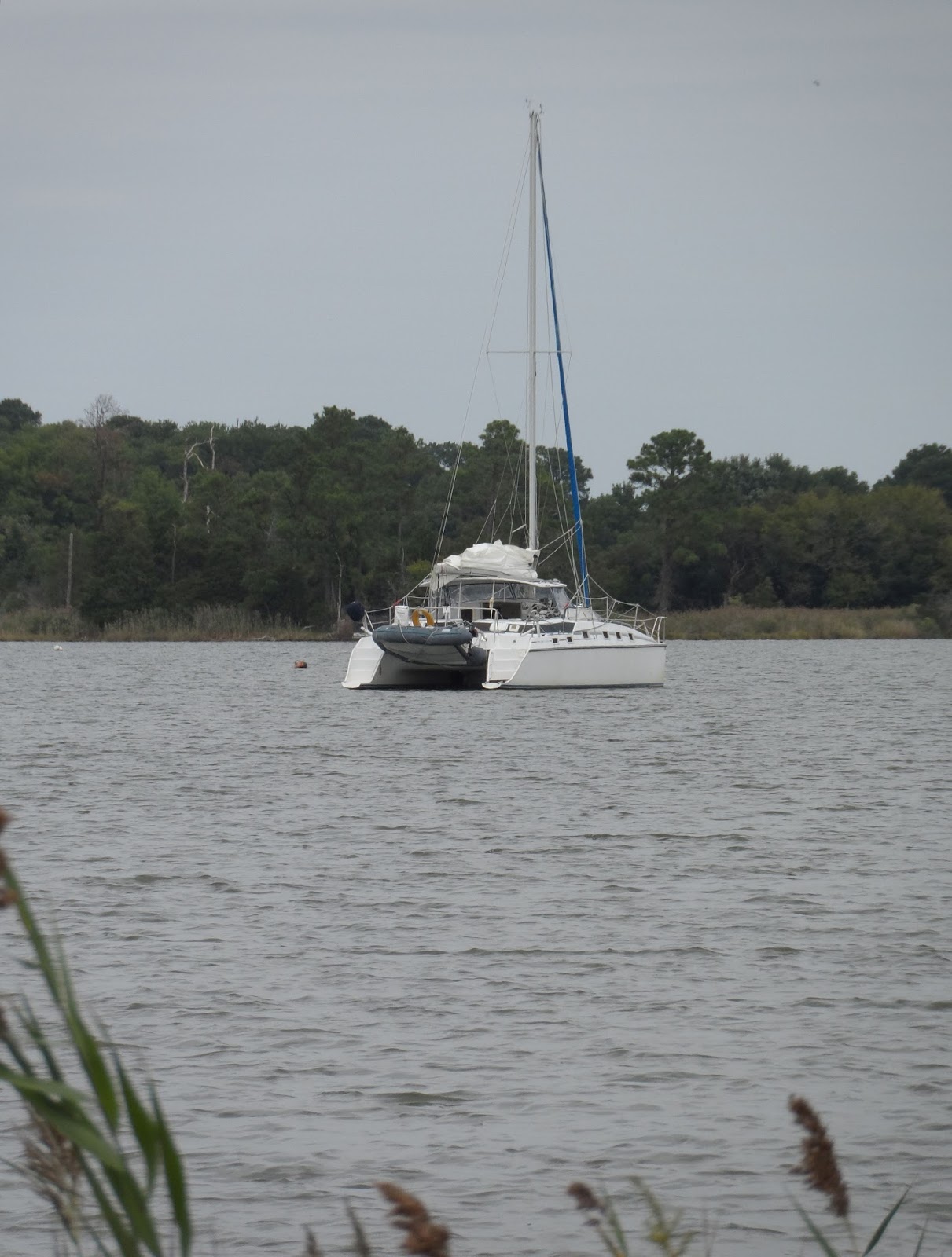 The Other Chesapeake: Smith Cove, Little Choptank River