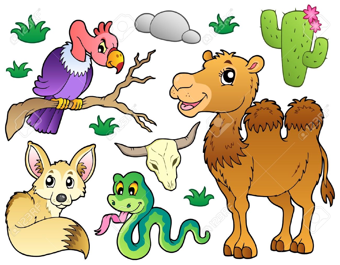 ¿Cómo son los lugares donde viven plantas y animales silvestres?