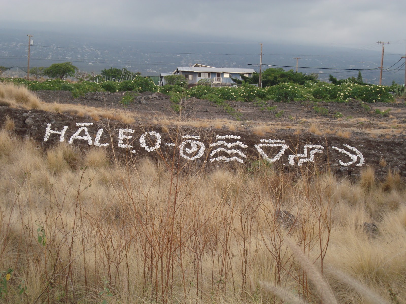 Aloha On My Mind: The Big Island of Hawaii - Iron Man, Coral Graffiti ...