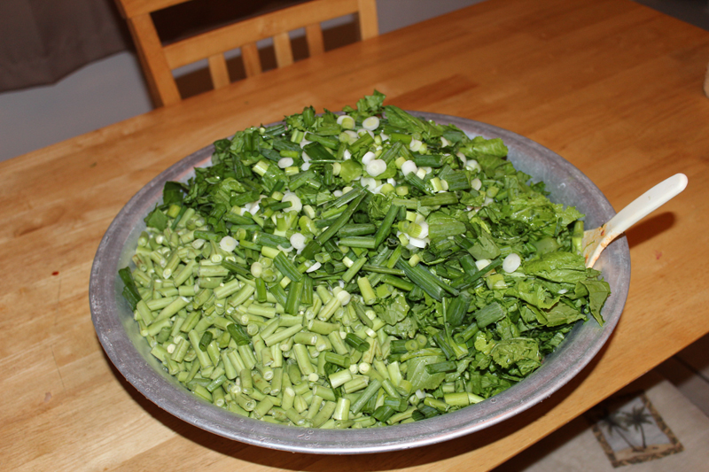 ChamoruBoy: Motsiyas Chamoru