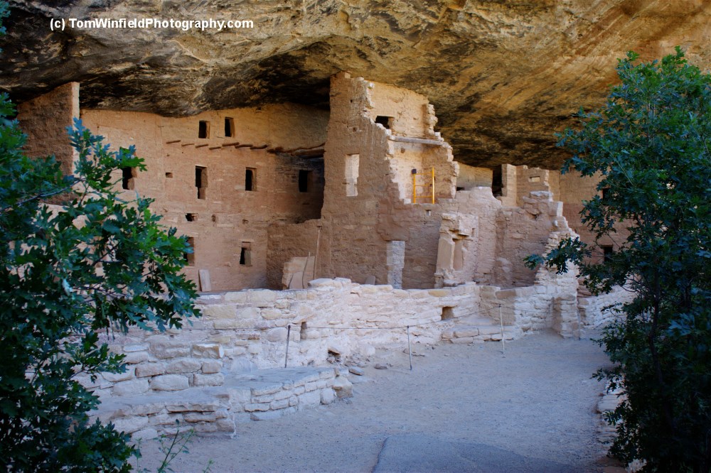 Tom Winfield Photography: Spruce House