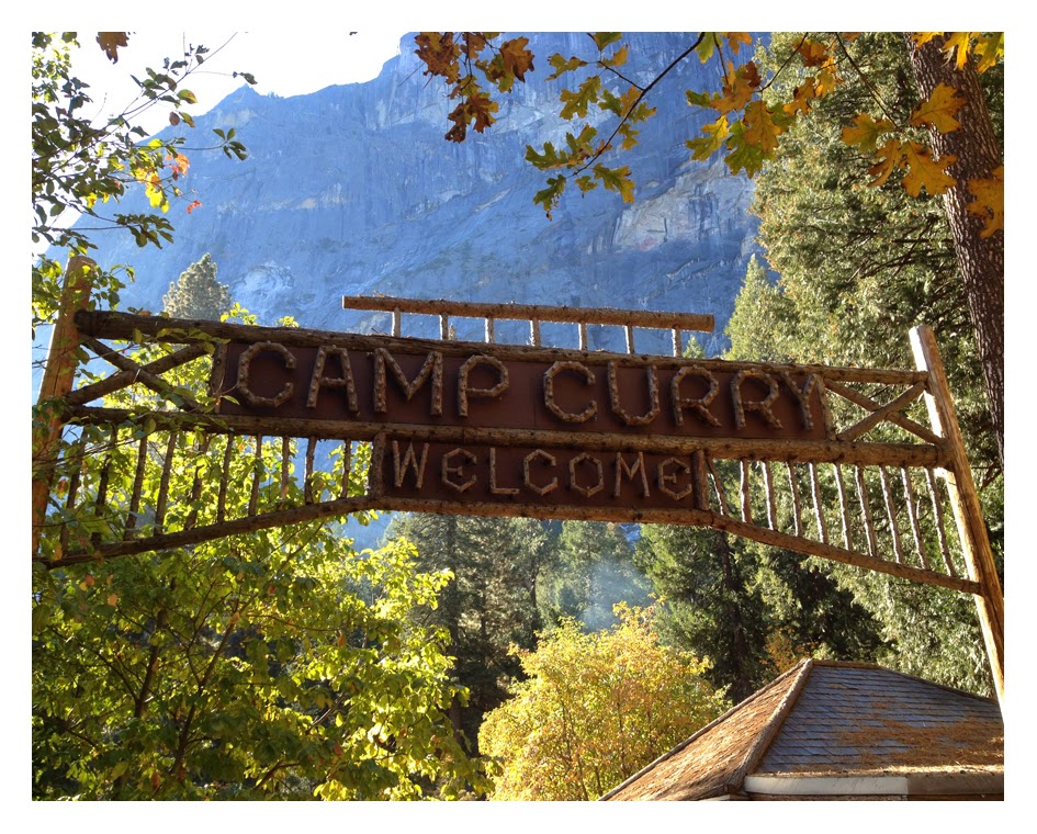Pigeon Post: Camp Curry...
