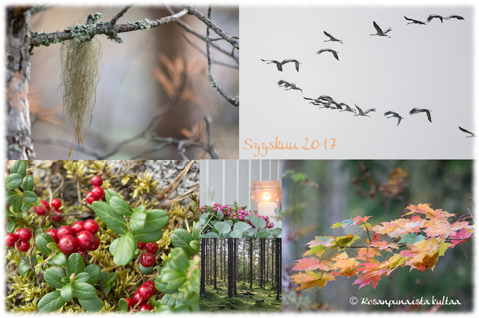 Retkiä&hetkiä: Syyskuun kollaasi