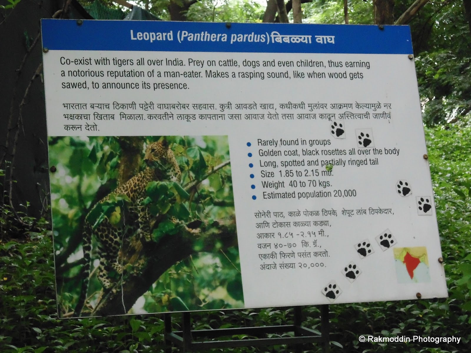 Katraj Rajiv Gandhi Zoo and Snake Park - Rakmoddin's Travel Blog