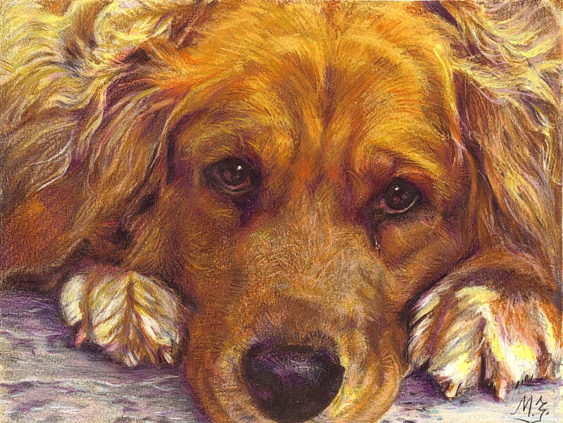 Maria Zeldis | Figurative painter | Tutt'Art@ | Pittura * Scultura ...