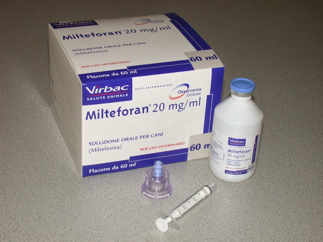 Remédio que TRATA Leishmaniose não tem autorização para ser vendido no ...