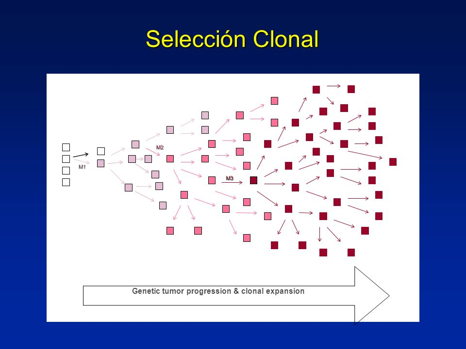 Oncología Básica para Atención Primaria: Biología molecular del cáncer ...