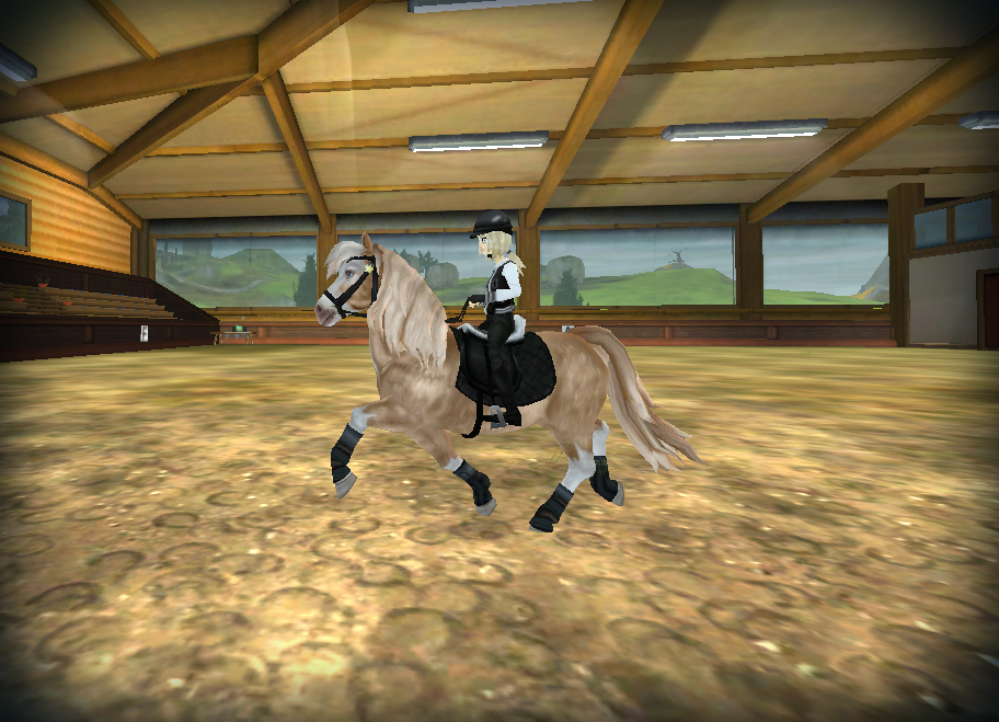 SSO - Luna Catsea: Moje konie