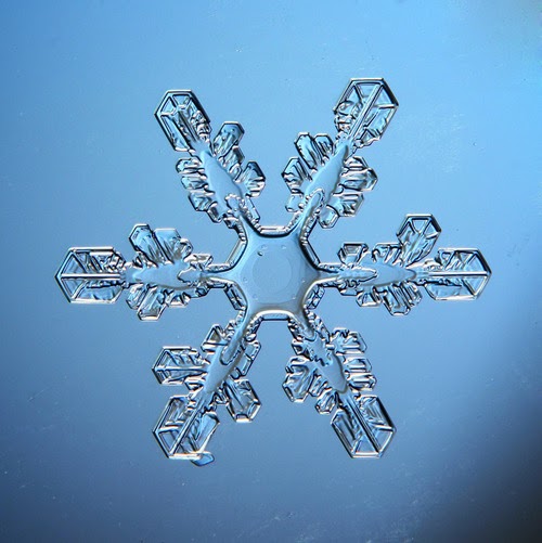 Calvin's Canadian Cave of Coolness: Snowflake Photography