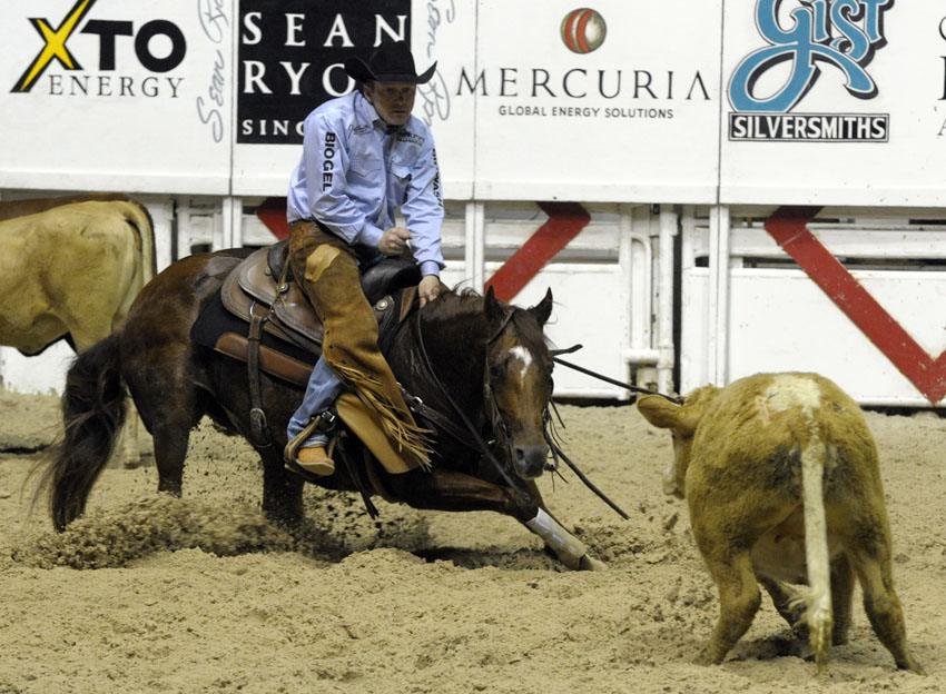 NCHA of Scandinavia: Classic Challenge finalen!