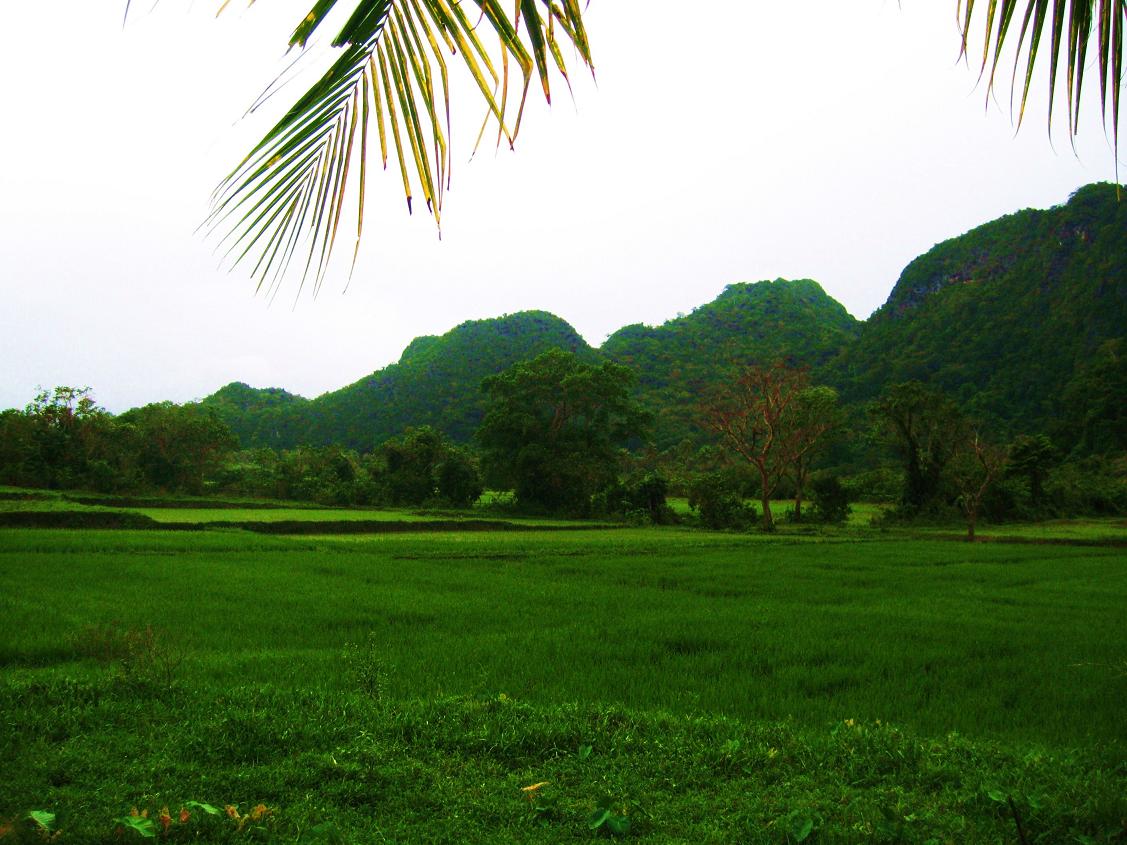 Random Travels & Reflections: Survivors @ Gota Village Resort, Caramoan