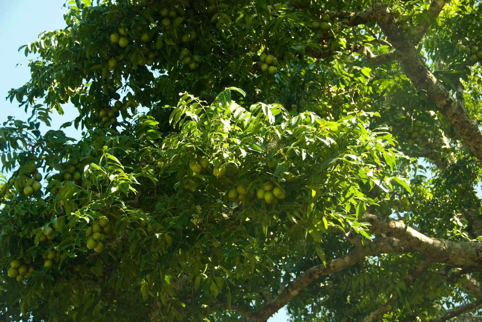 Garth and Sandy Rule the World: The Other Side of Heaven