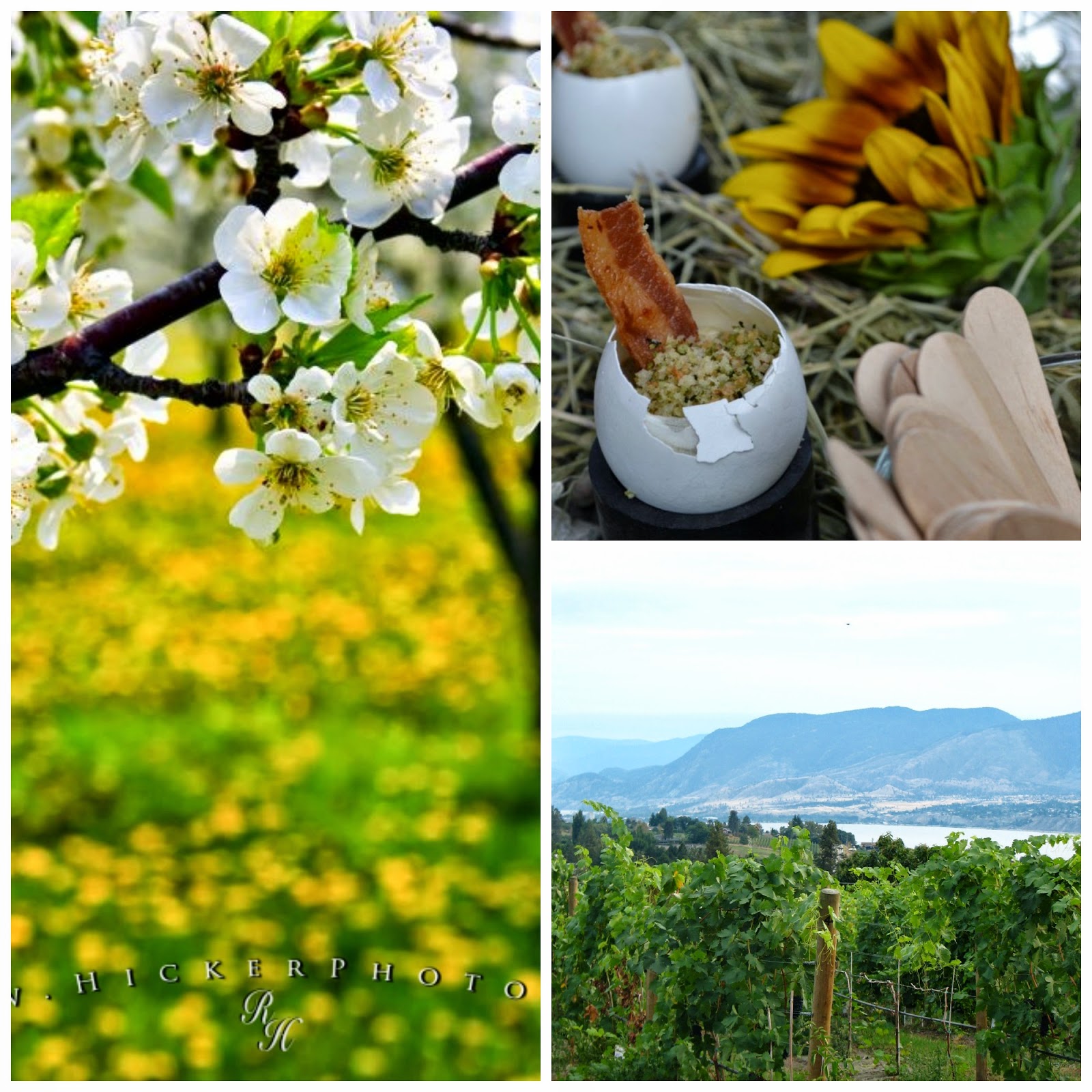 more than burnt toast: The Virtual Supper Club Celebrates Easter with a ...