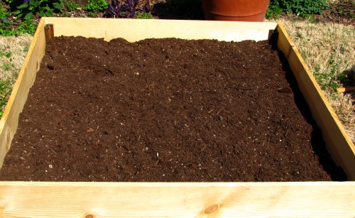 indigo 26: Backyard Garden: Box Construction