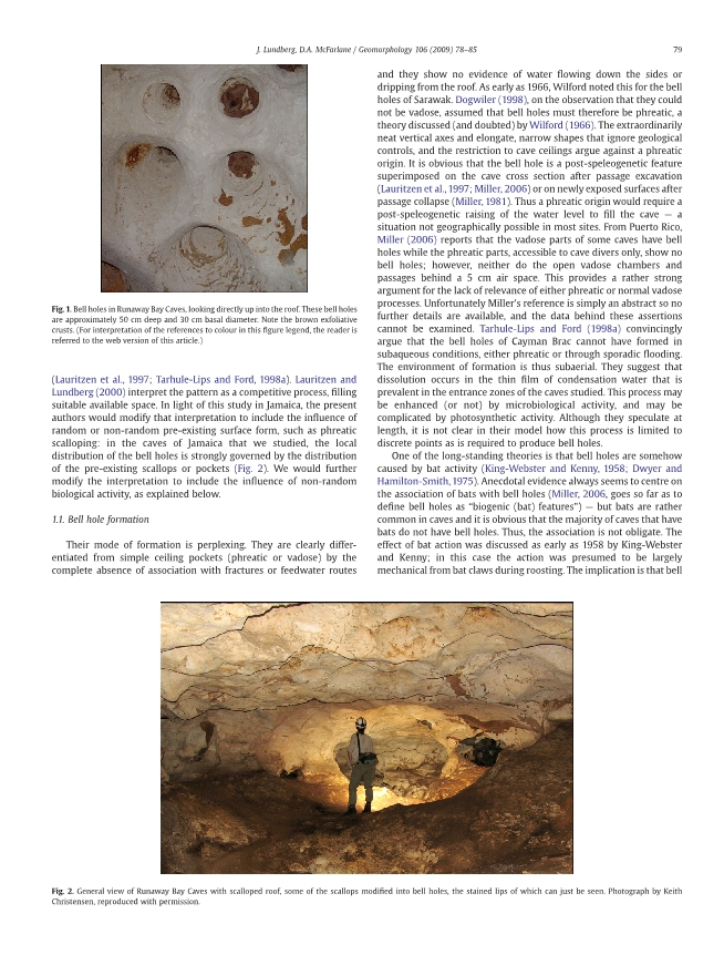 espeleobloc: Campanes de dissolució.