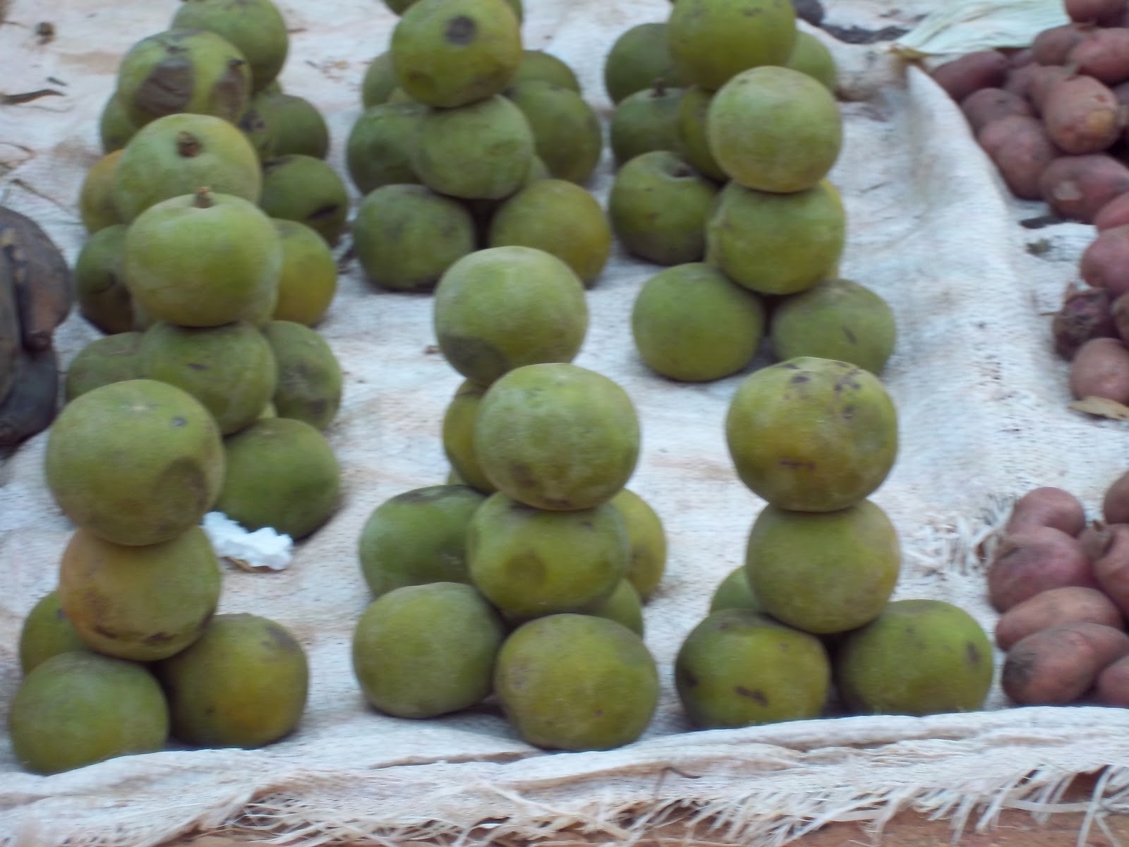 Volunteering in Zambia