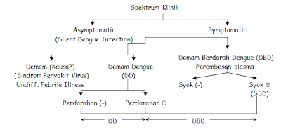 sikkahoder: Tata Laksana Demam Berdarah Dengeu