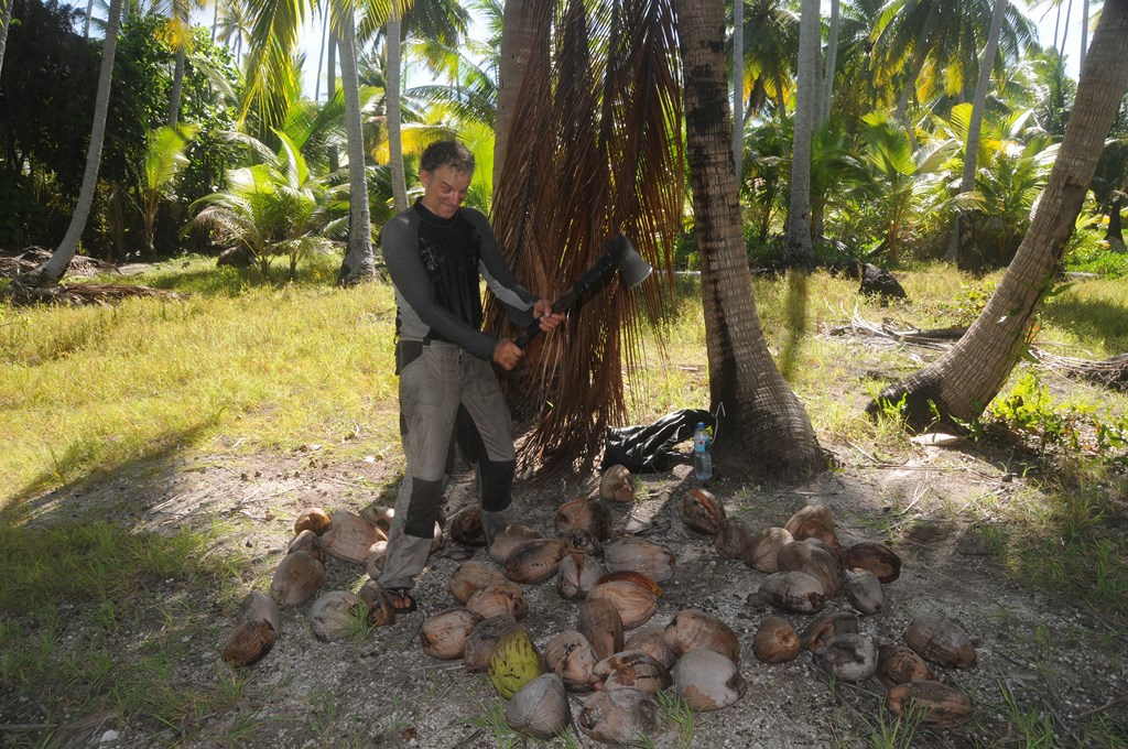 Sabay Dii: La récolte du coprah