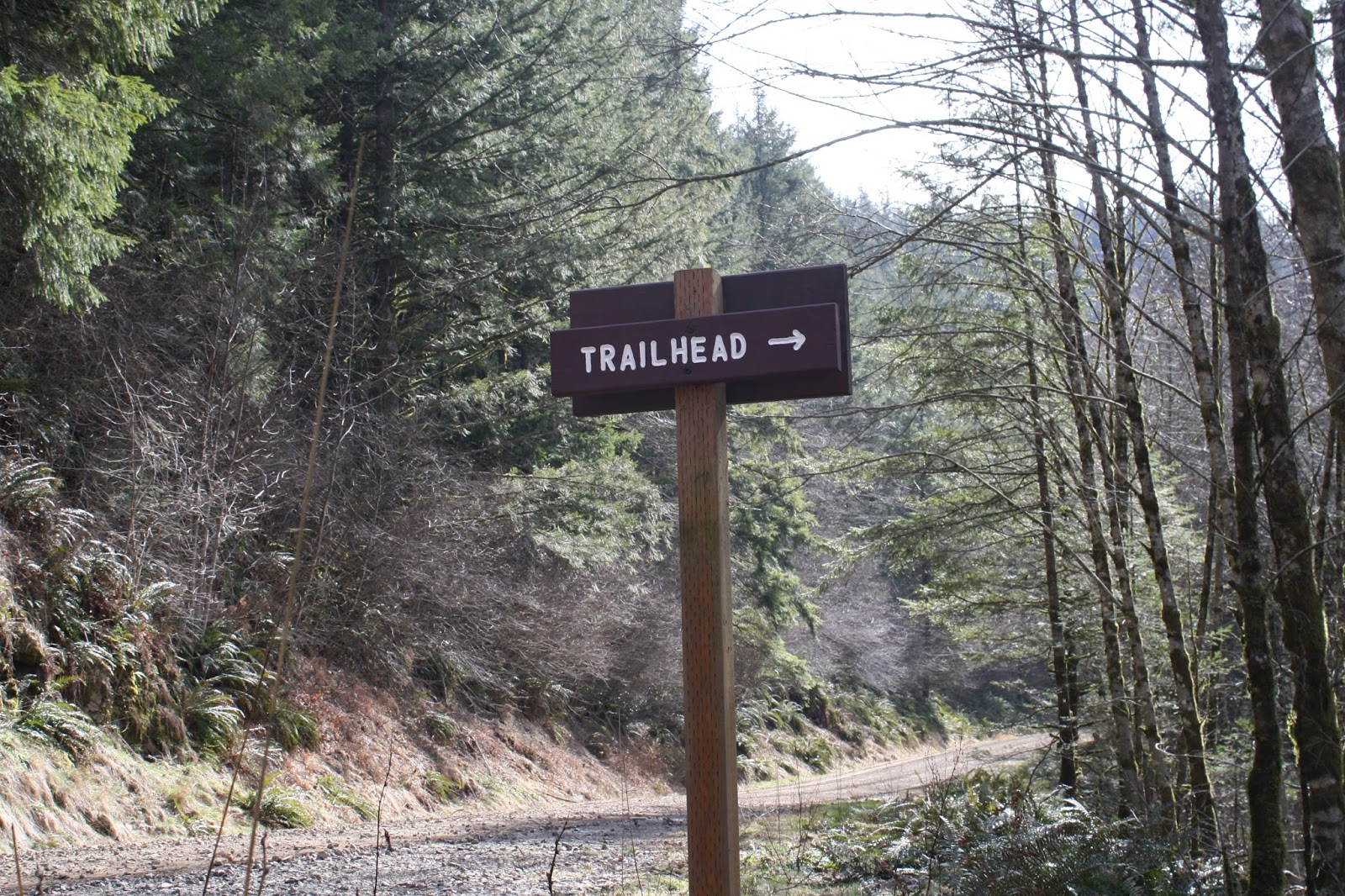 .Hike Mondays.: THREE CORNER ROCK: Washougal River Road