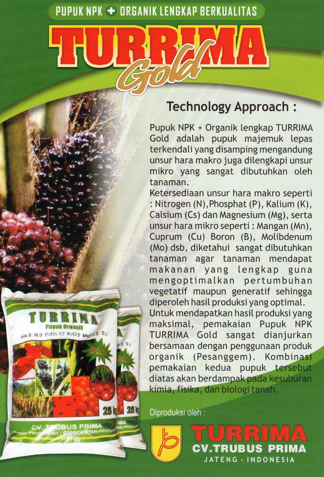 SELAMAT DATANG DI PT TURRIMA AGRO MASS ~ PT. TURRIMA AGRO MASS