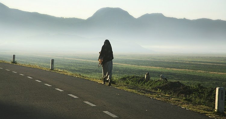 “In a walking distance of” nghĩa là gì?