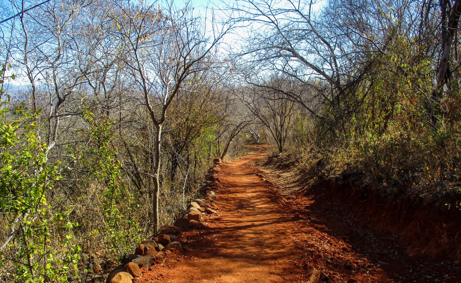 Aventura en campo naturaleza en el pueblo mágico de Álamos Sonora.