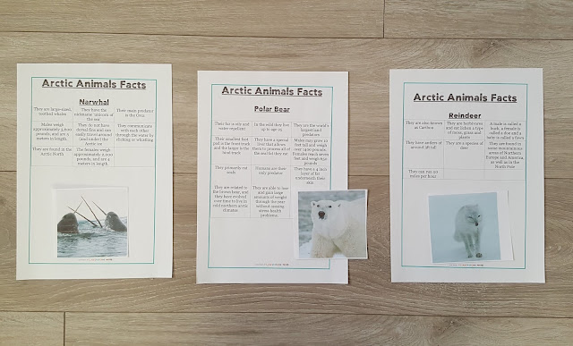 Polar Animals Activities | Multicultural Motherhood