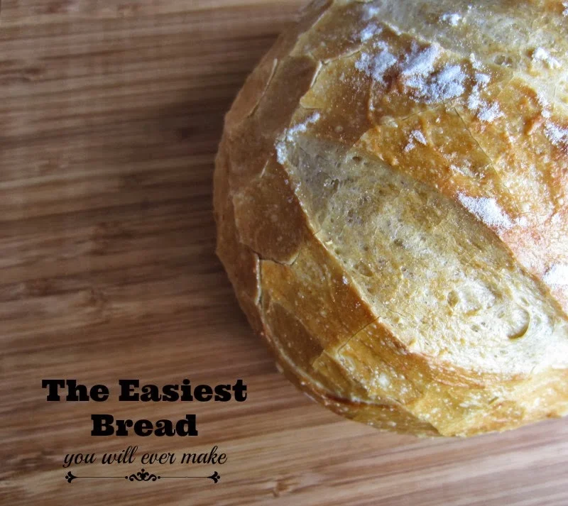The Easiest Bread You Will Ever Make | Renee's Kitchen Adventures