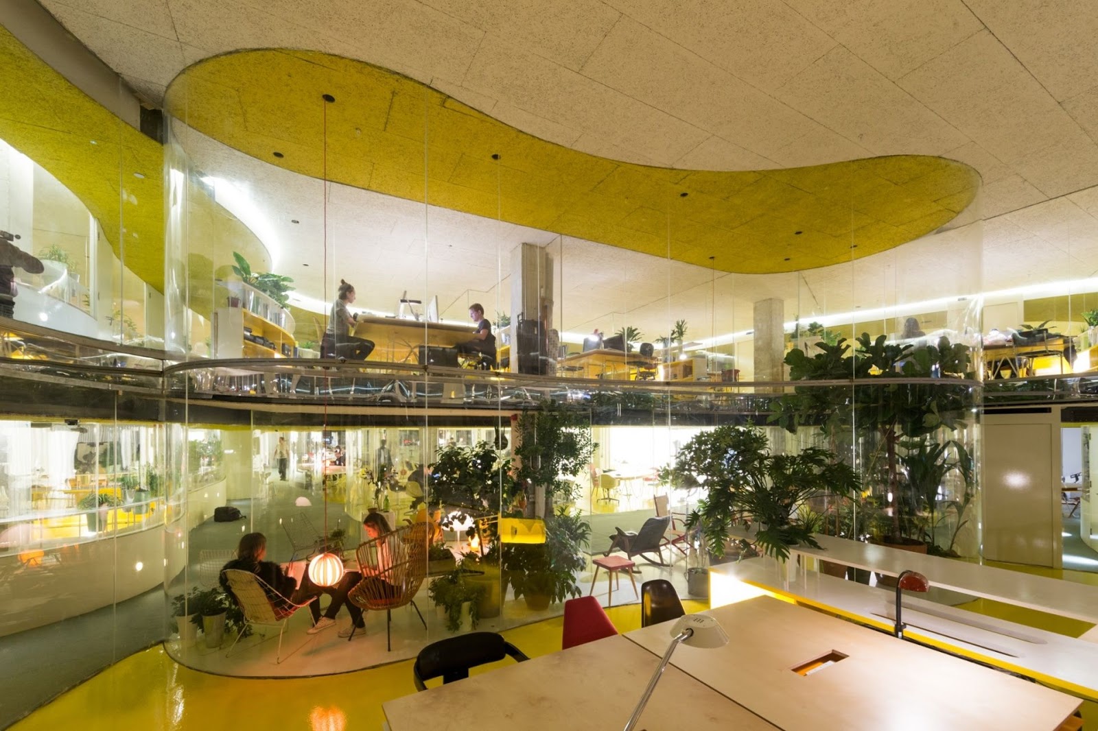 a f a s i a: SelgasCano