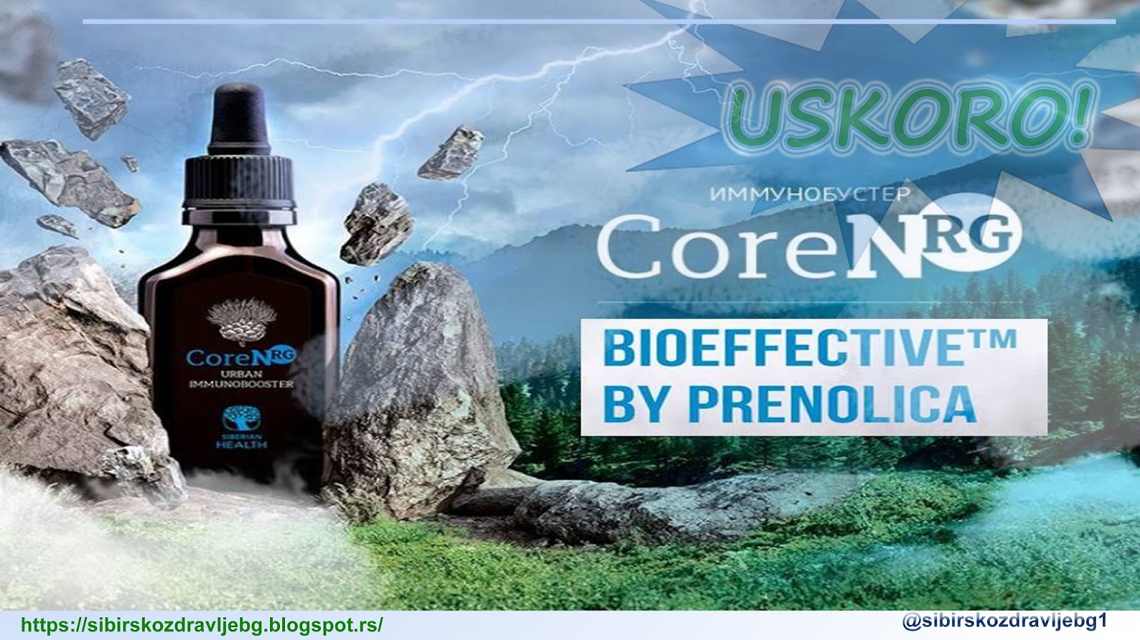 sibirskozdravljebg: Superkoncentrat Koren