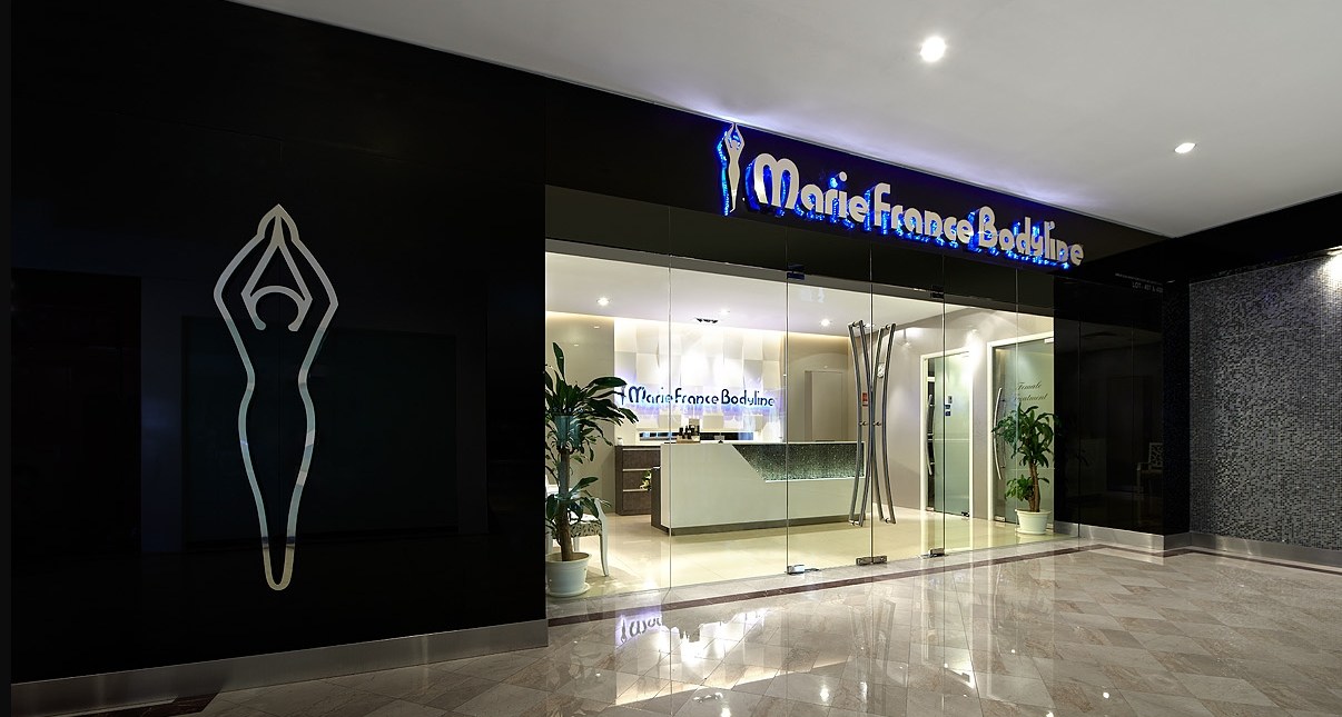 Plus Size Kitten: The ART of Marie France Bodyline by Amy Quek