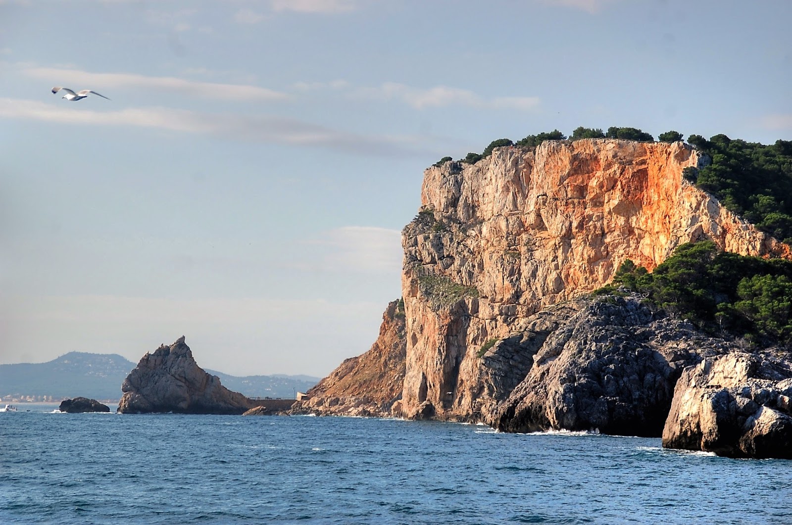 EL MOLINET I EL PORT DE L'ESTARTIT: de maig 2014