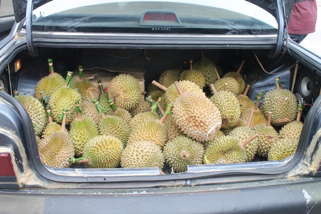 Pesta Durian Musang King di Casa Iman - Azie Kitchen