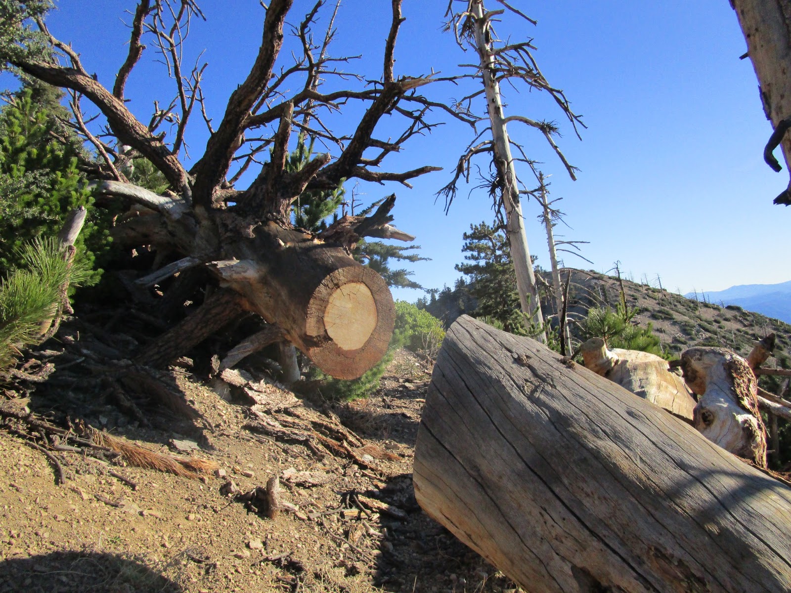 Iron Hiker: Etiwanda Peak from Joe Elliot Campground