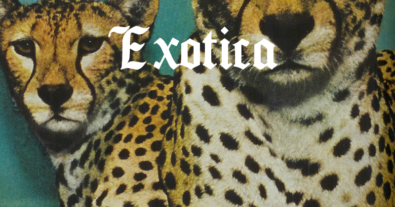 Exotica #001 - Brand New series of Exotic/International / Rare grooves