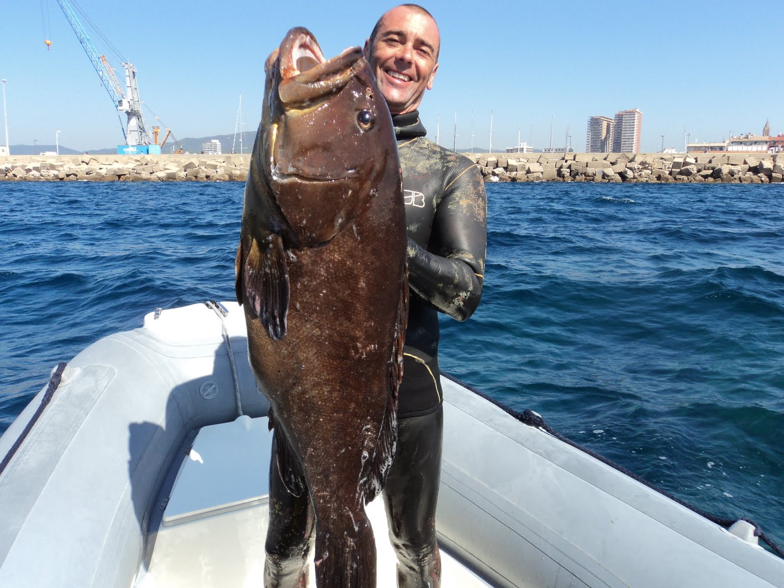 TONI PALAMOS: MERO DE 20.800gr