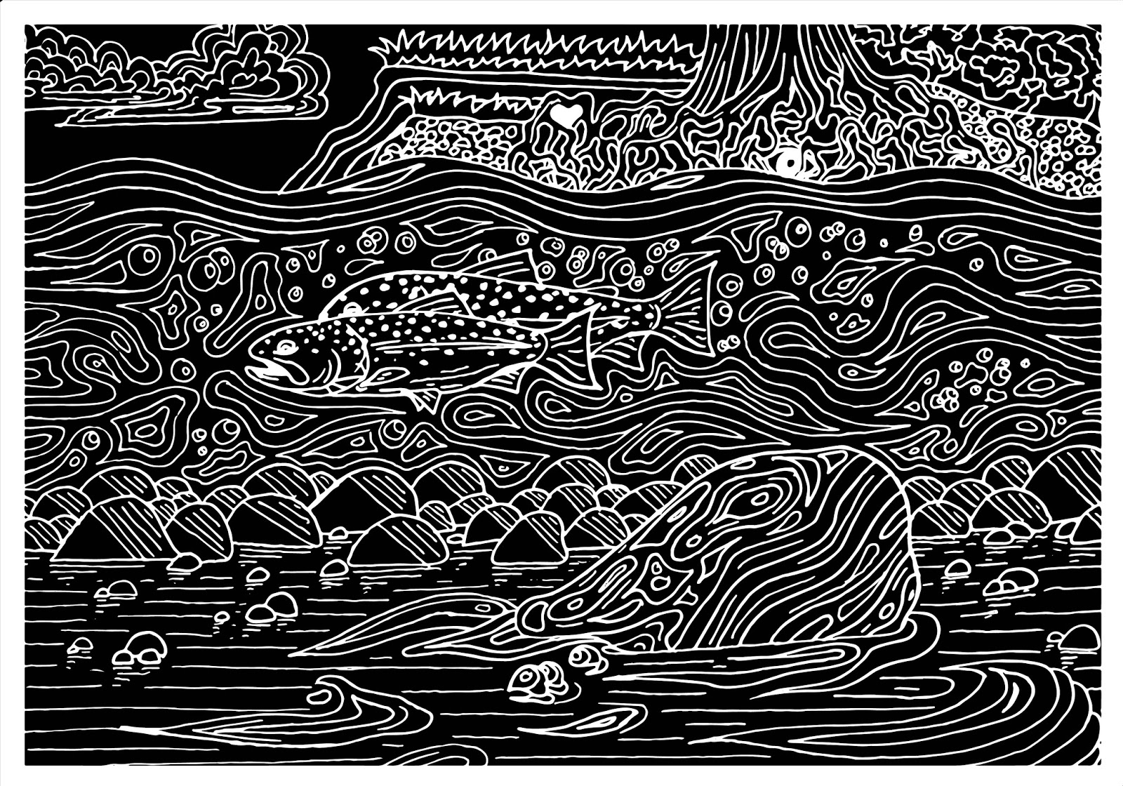 A Year On The Fly: Streamline Design